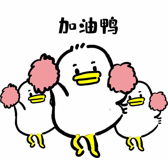 23Fall斩获4个offer！加拿大留学注意这些细节，帮你规避90%的坑！ - 知乎