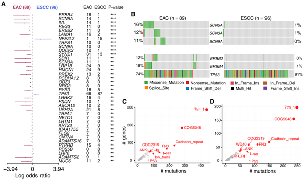 一文学会R包 maftools 简介使用 - 知乎