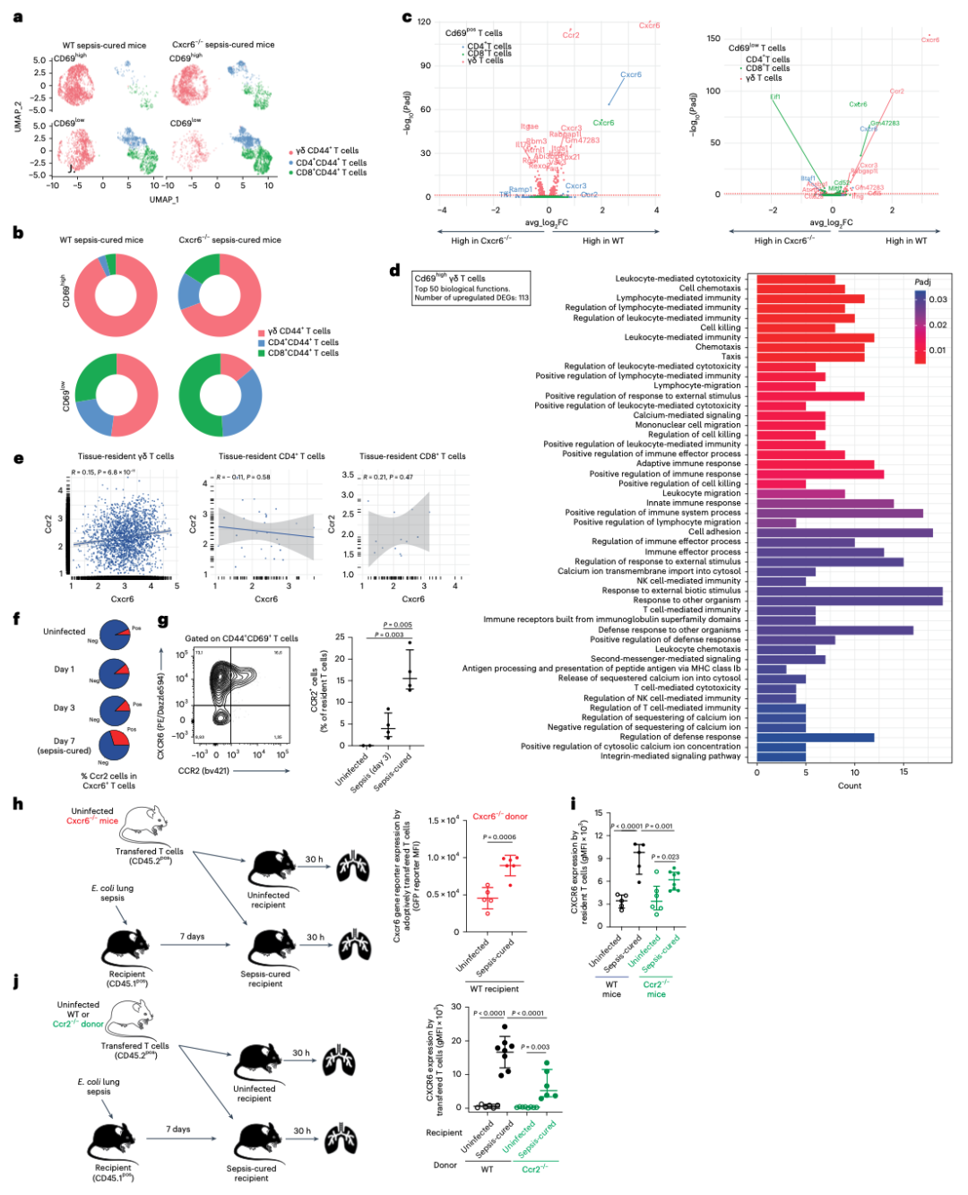 Nature Immunology丨脓毒症后的巨噬细胞可促进抗肿瘤组织驻留 T 细胞的生成 - 知乎