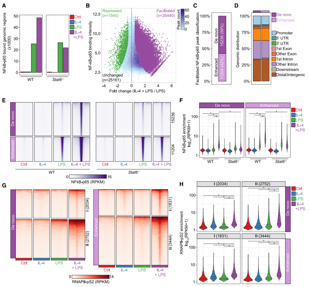 免疫学顶刊Immunity丨IL-4 极化巨噬细胞的表观遗传状态使对 TLR 配体的协同反应延长 - 知乎