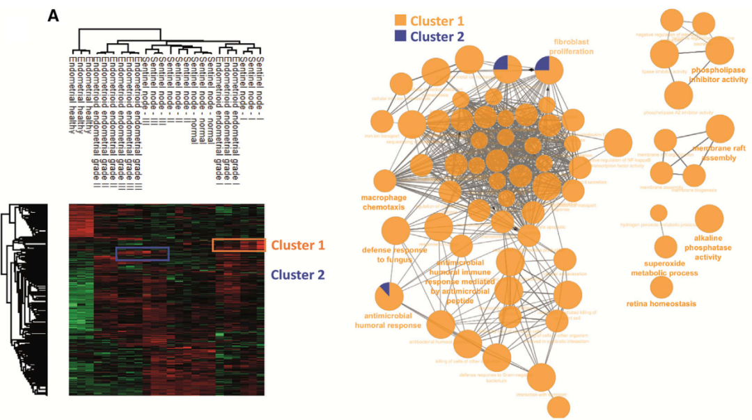 Cell 子刊 | 空间蛋白组学揭示子宫内膜癌及前哨淋巴结分子特征 - 知乎