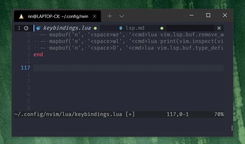 Neovim 内置 LSP 配置 (一)：基础配置 - 知乎