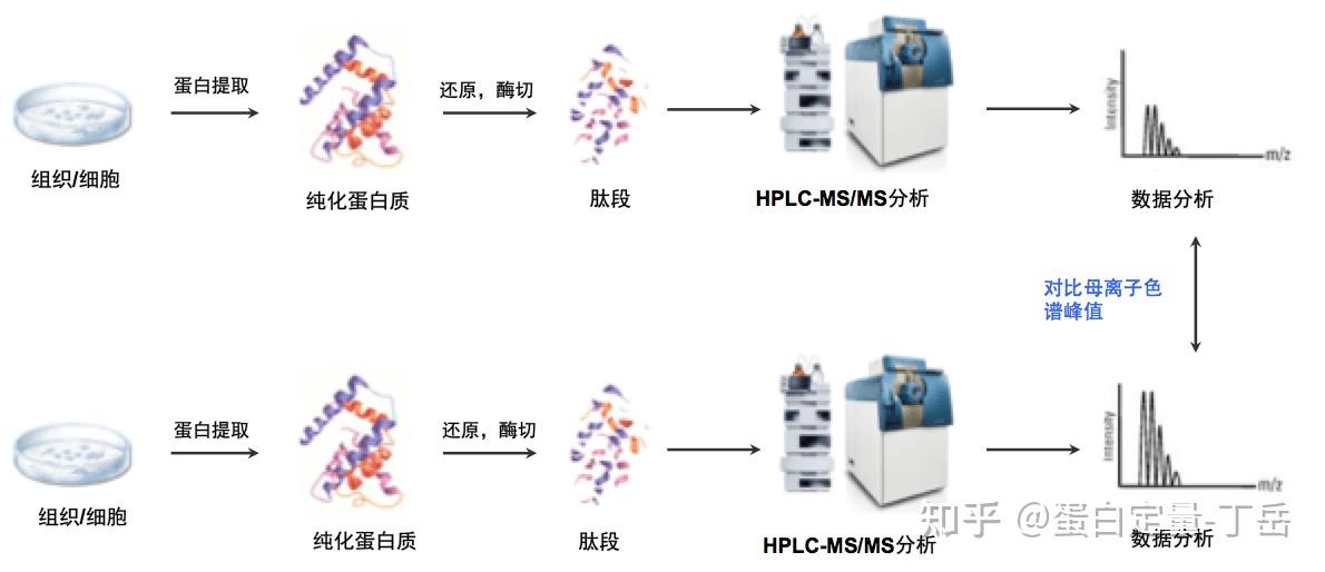 4D Label-Free 蛋白组学技术及应用 - 知乎