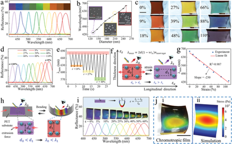 《AFM》香科大沈曦/杨晶磊：仿生变色离子皮肤！具有平面内应变/温度/压力多模态传感和超高刺激可辨别性！ - 知乎