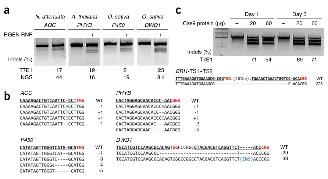 DNA-free基因组编辑技术任重而道远 - 知乎