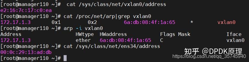 VLAN与VXLAN网络原理与实践 - 知乎