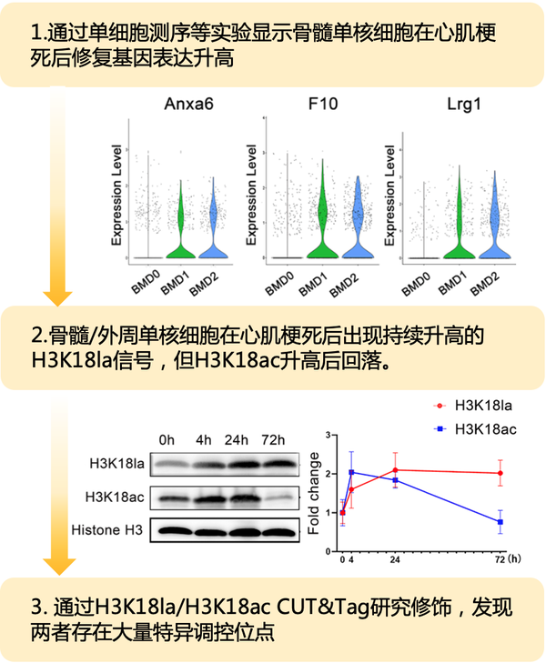 三大经典CUT&Tag应用场景 - 知乎