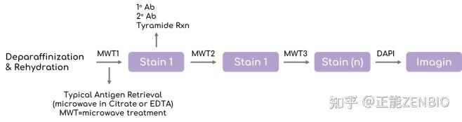 mIHC多重荧光免疫组化 - 知乎