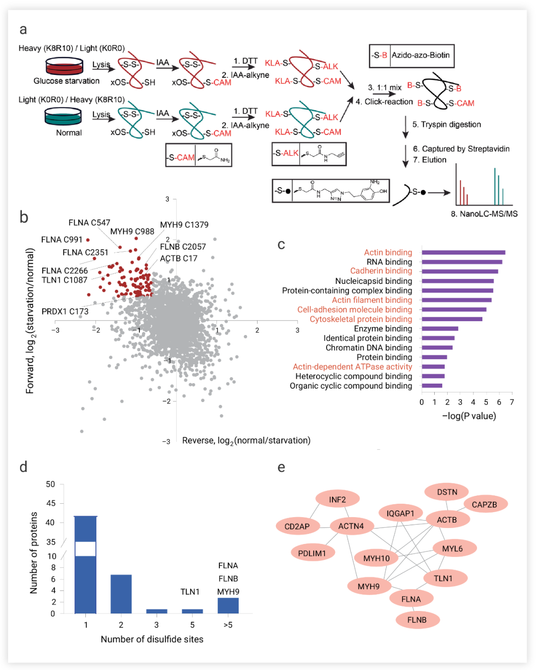 SLC7A11 是什么，为何会促进细胞死亡？ - 知乎