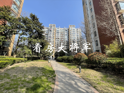 对内环商品房的虐杀，从ta们开始 #l081 - 知乎