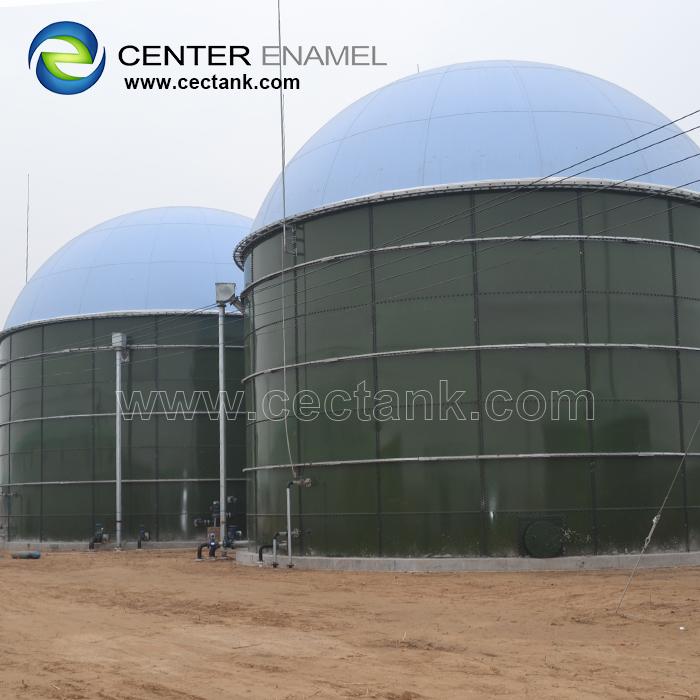 Going against the wind to build overseas projects, Turkey's biogas ...