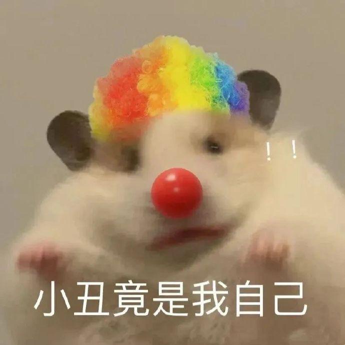 有哪些搞笑的动图/gif表情包？ - 知乎