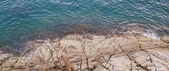 再用PE、ROE选股你就OUT了 - 知乎