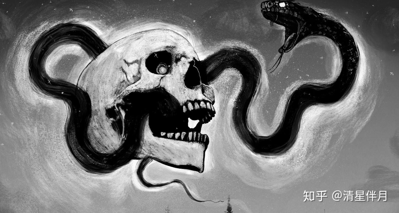 【Pottermore翻译】魁地奇的历史 - 知乎