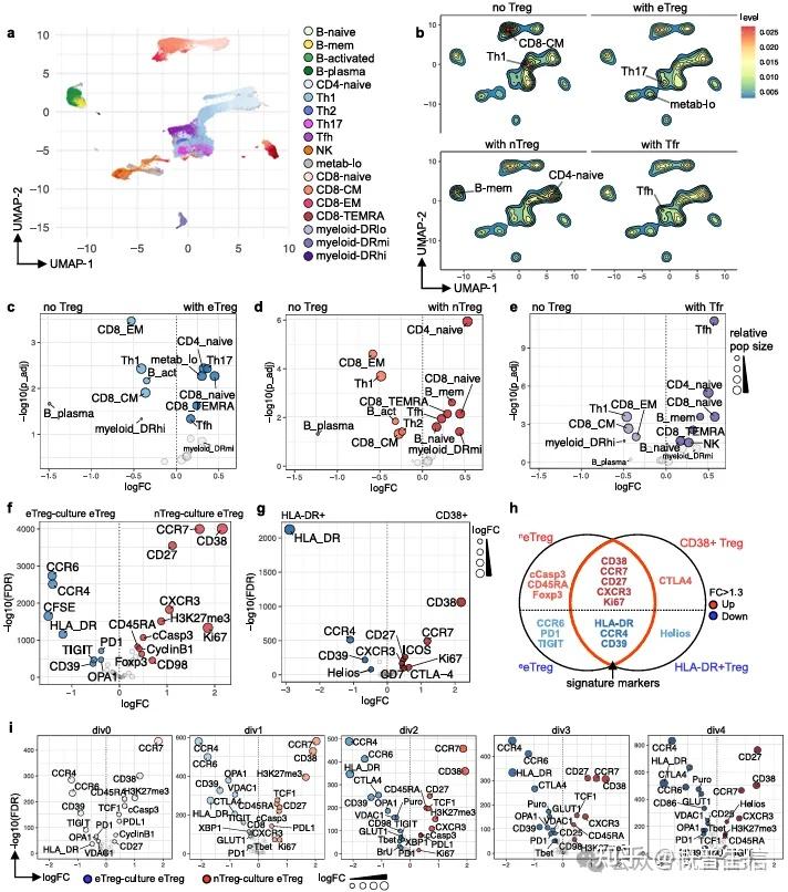 Nature重磅揭示Tregs力量！ - 知乎