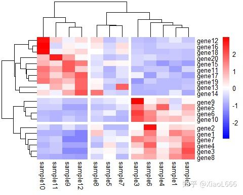 使用pheatmap包绘制热图 - 知乎