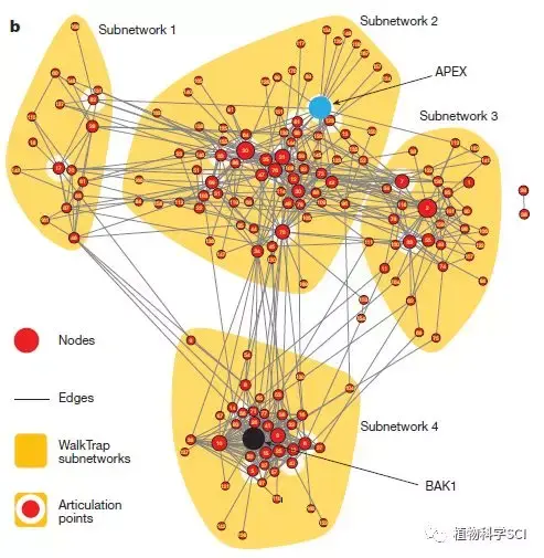Nature∣拟南芥LRR-RK类受体蛋白激酶胞外互作网络的构建 - 知乎