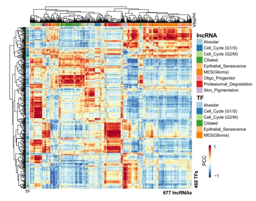 单细胞lncRNA如何分析？VITA助你一臂之力！ - 知乎
