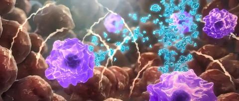 全球首款IgG4 亚型全人源抗 RANKL 单克隆抗体上市 - 知乎