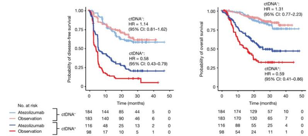 实体瘤MRD干预性研究知多少 - 知乎