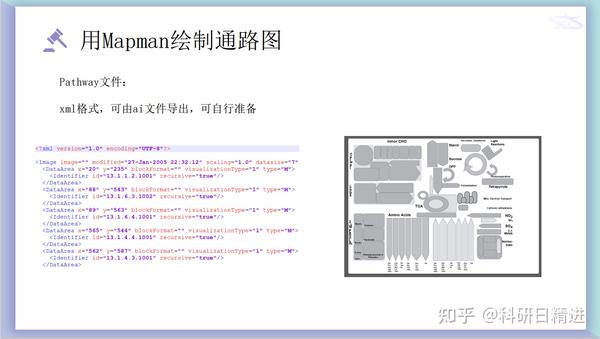 画通路图的神器 - Mapman的使用 - 知乎