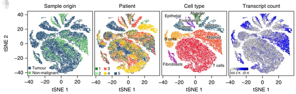 10X单细胞云工具 | tSNE图（附视频） - 知乎