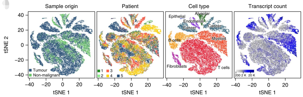 10X单细胞云工具 | tSNE图（附视频） - 知乎