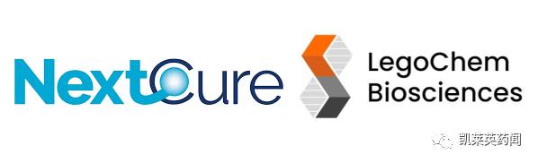 ADC领域动态更新| NextCure与LegoChem达成开发合作，共推抗体偶联药物 - 知乎