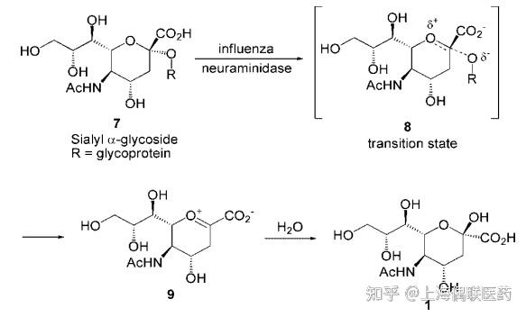 Oseltamivir 奥司他韦 ｜ 抗流感病毒药传奇 - 知乎