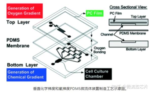 PMMA注塑工艺知识 - 知乎