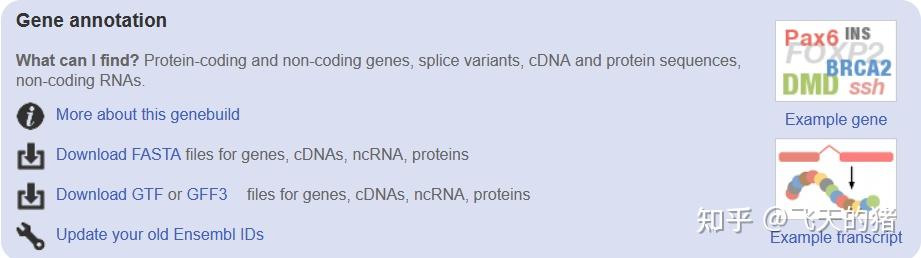 Ensembl数据库 - 知乎