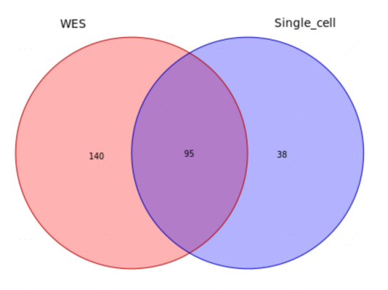 如虎添翼丨新格元scRNA联合WES分析助力肿瘤CNV研究 - 知乎