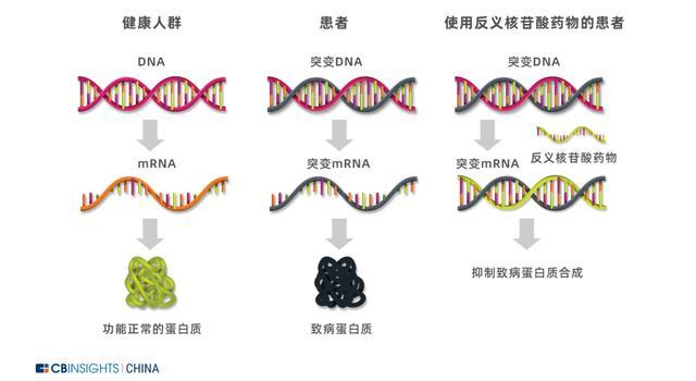 8家中国RNA公司上榜！CB Insights首次发布中国RNA企业榜单 - 知乎