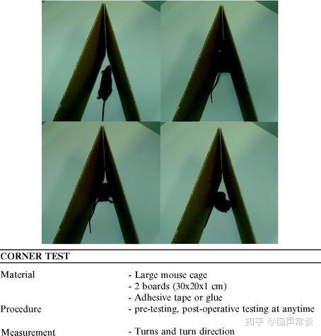Corner test（角落测试）丨评估局灶性缺血小鼠模型中风后的行为 - 知乎