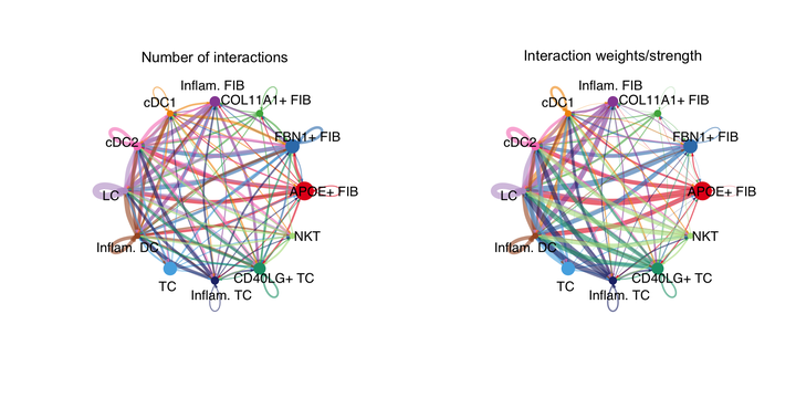 CellChat细胞通讯分析（中）--实操代码（单个样本） - 知乎