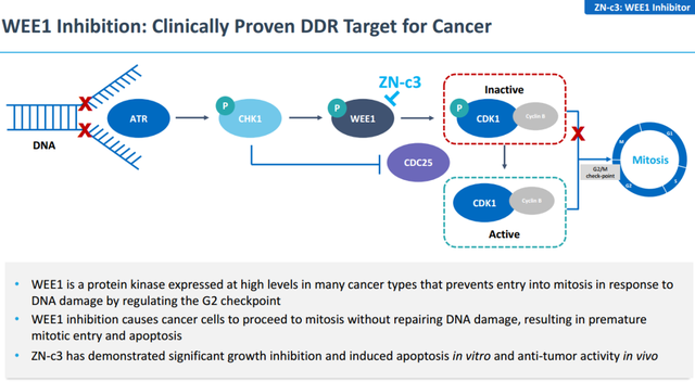 “合成致死”新兴靶点研发进展汇总 - 知乎