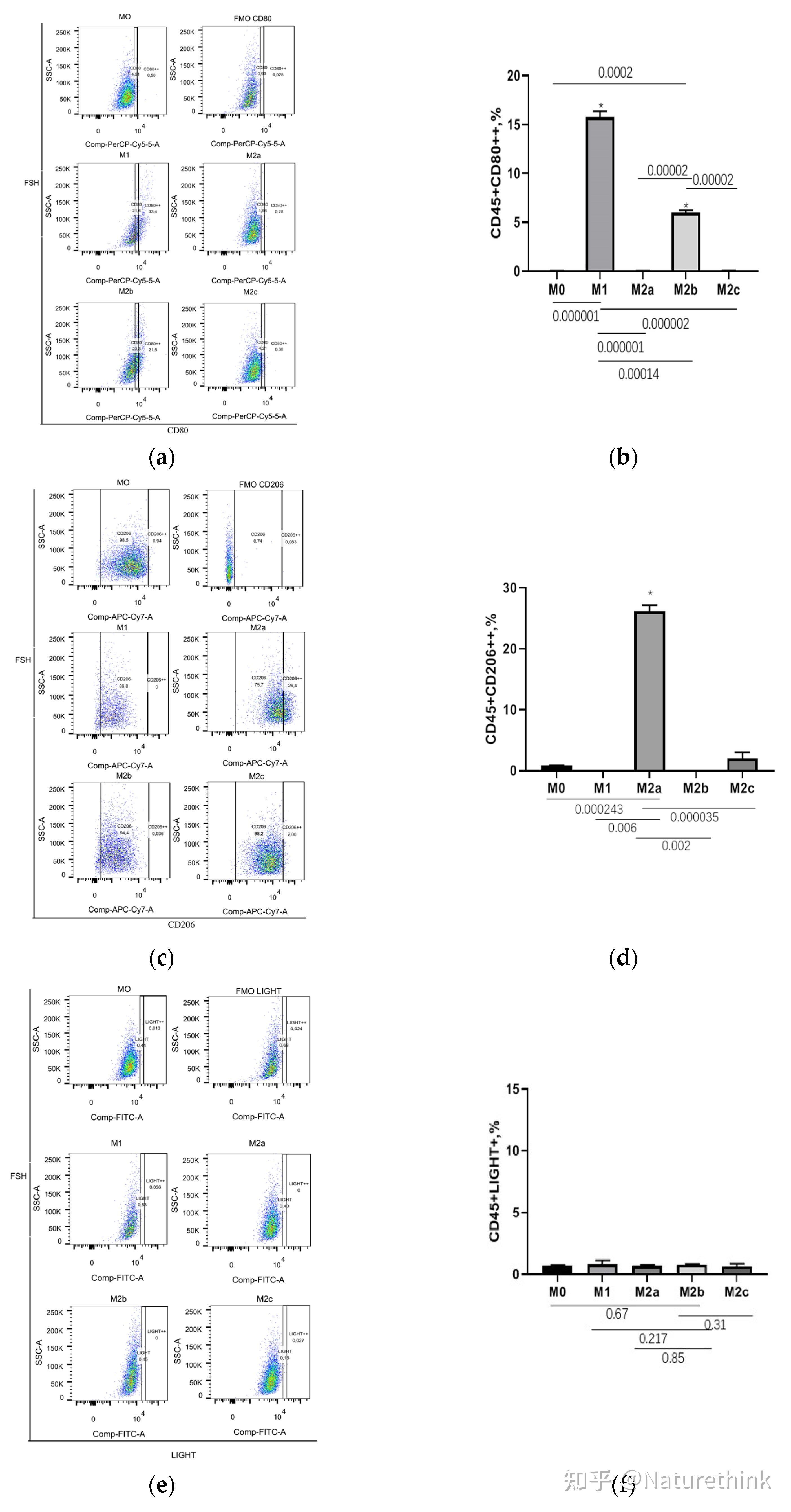 宫颈癌体外模型中CCL22极化TAMs 到 M2a巨噬细胞 - 知乎