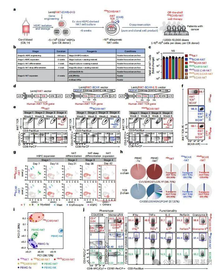 Nat Biotech | 从造血干细胞和祖细胞中产生CAR-NKT细胞 - 知乎