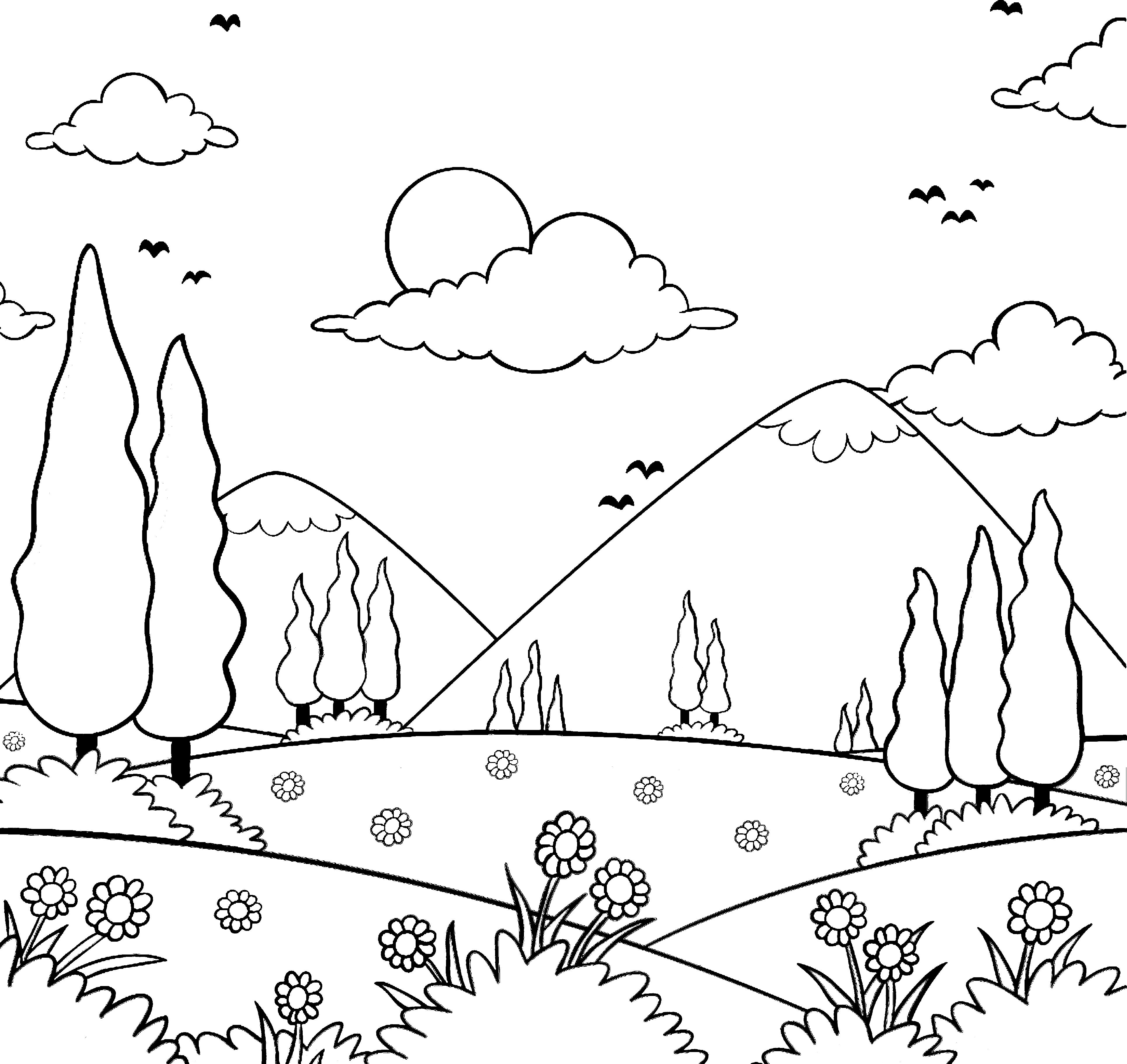 激光啄木鸟LP4材质测试之椴木层板 - 知乎