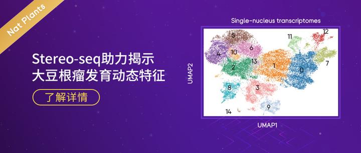 Nat Plants | 单细胞核与空间转录组学联合揭示大豆根瘤成熟过程中的动态特征 - 知乎