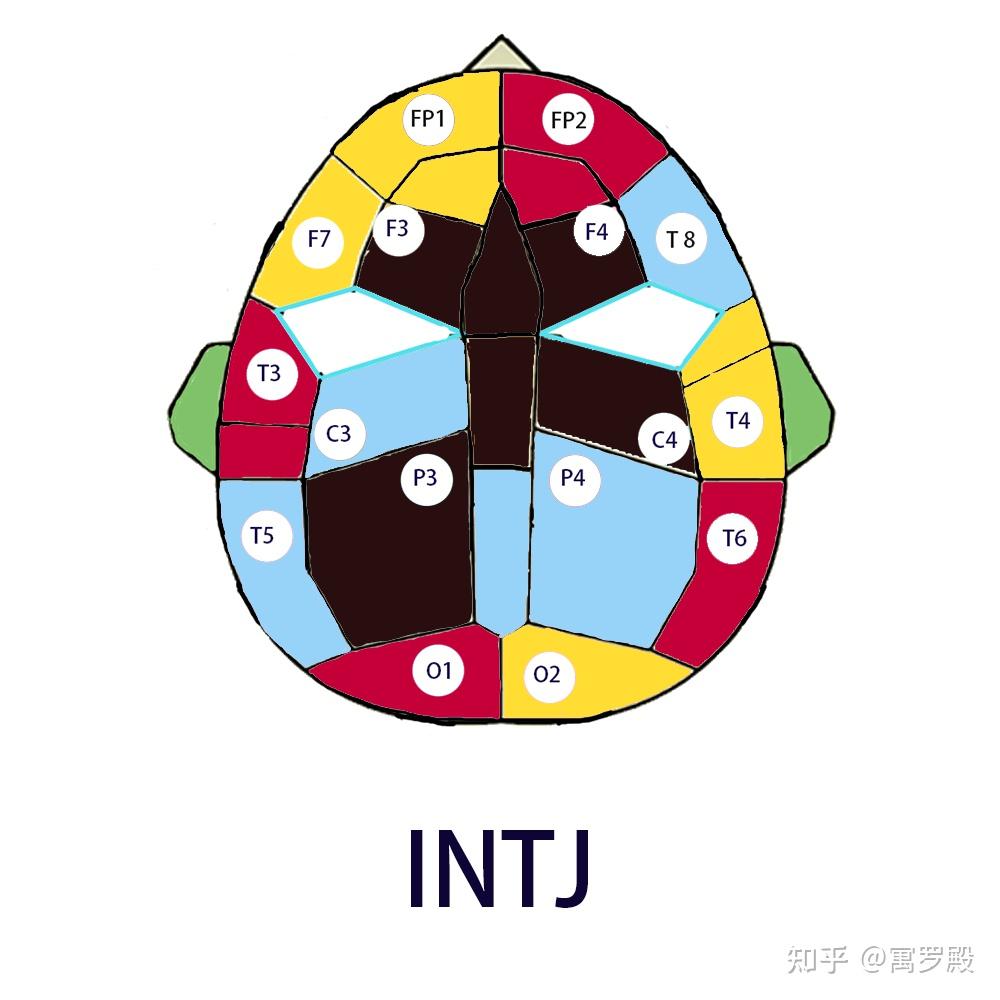 INTJ伴侣MBTI适配度与基因&脑神经因素的联系 - 知乎