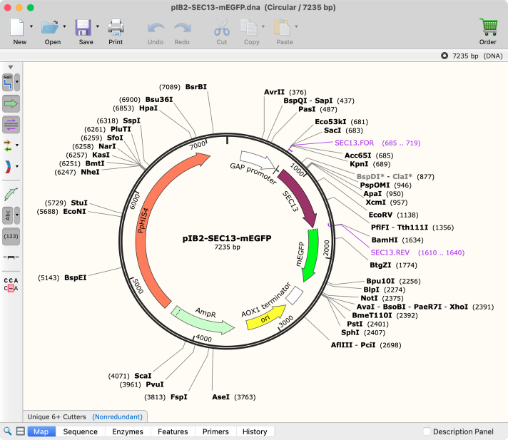 SnapGene 如何修改字体大小 - 知乎