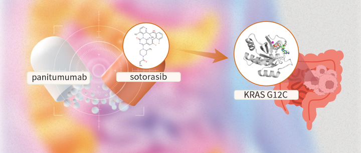 临床三期结果公布！KRAS G12C抑制剂Sotorasib联合Panitumumab治疗难治性结直肠癌，效果喜人！ - 知乎