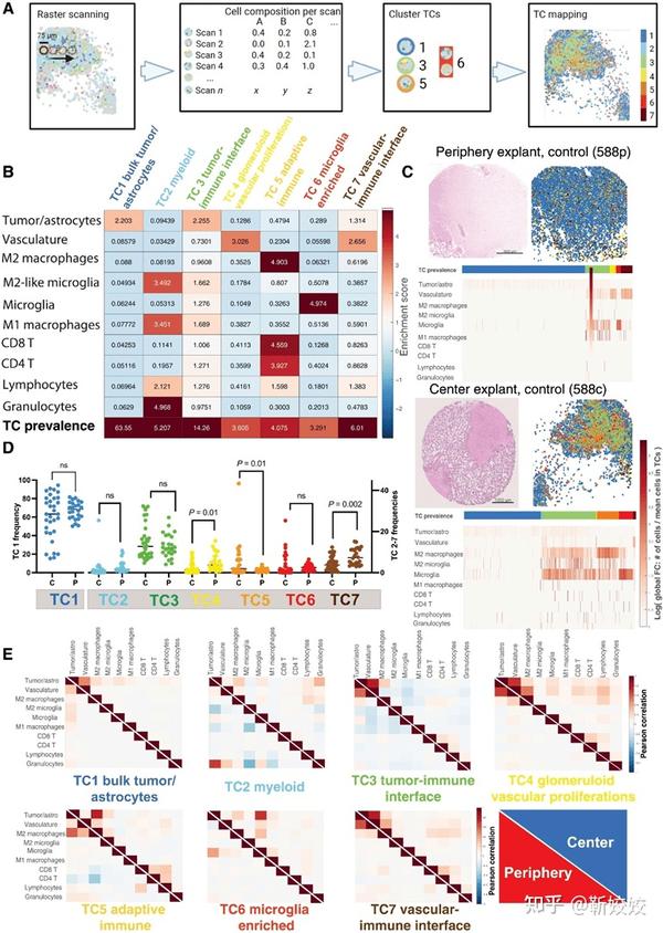 Sci Adv | 3D肿瘤外植体培养物PhenoCycler 55个超多蛋白靶标空间分析深度解析 - 知乎
