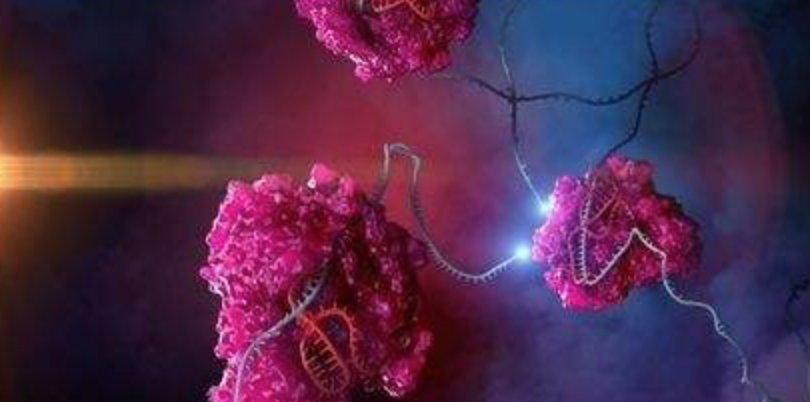 专家点评丨首次证实Cas13d系统在成体动物体内具有靶向沉默RNA的活性 - 知乎