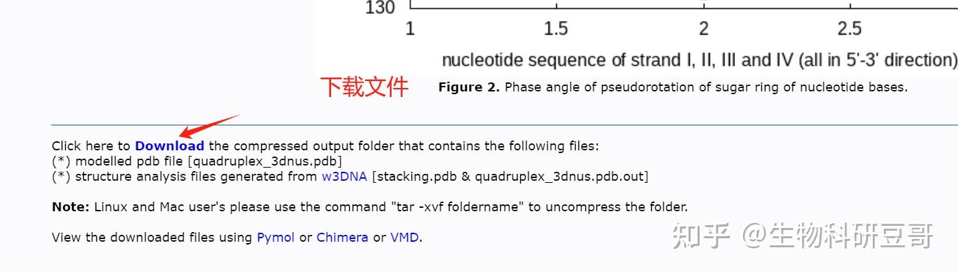 根据DNA序列预测G-四链体3D结构？Predict the 3D structure of G-quadruplex (G4 ...