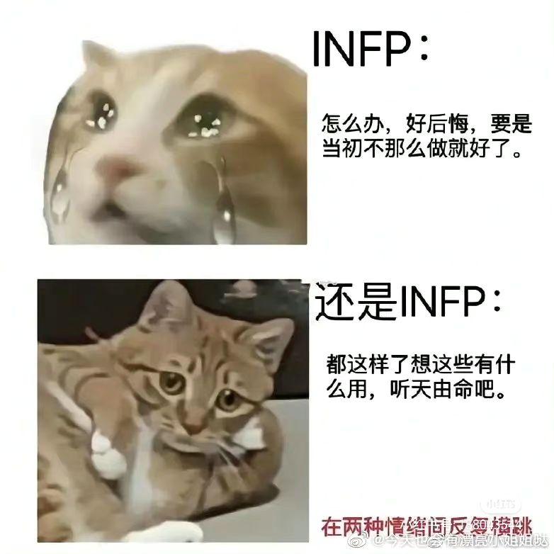 INFP表情包 - 知乎