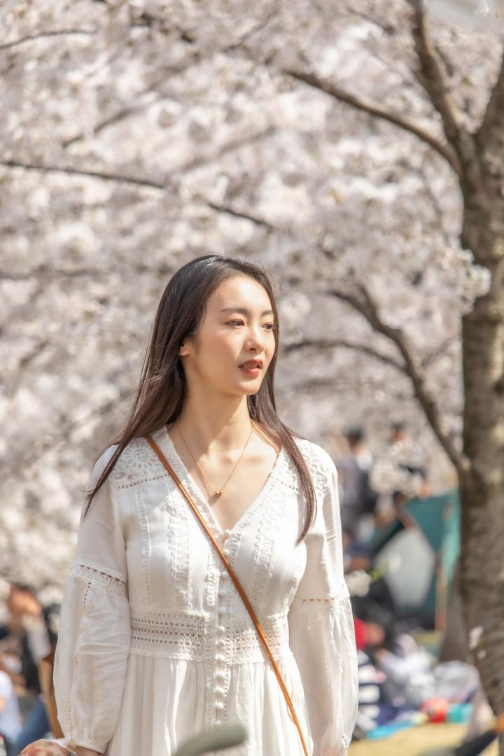 佳能 55-250mm f/4-5.6 IS STM镜头使用心得 - 知乎