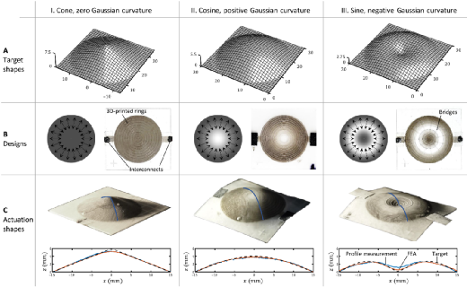 《Science Adv.》哈佛大学：介电弹性体致动器将程序形状变形为复杂的目标形状！ - 知乎