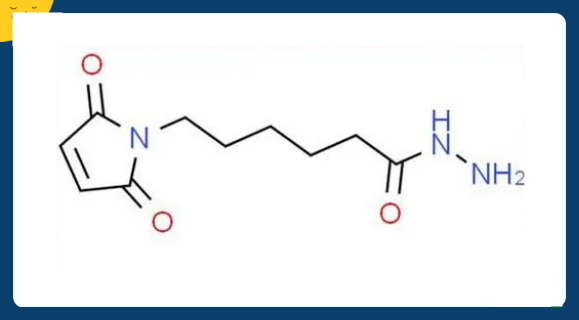 CAS：81186-33-6，6-Maleimidocaproic acid hydrazide，6马来酰己酸酰肼供应 - 知乎